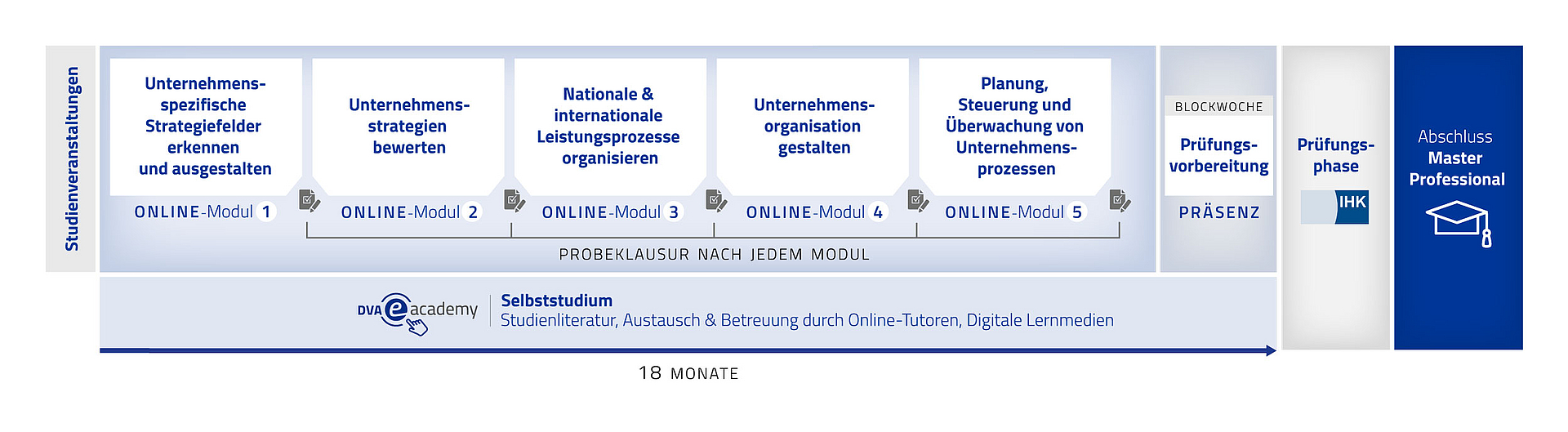 Master Professional - DVA